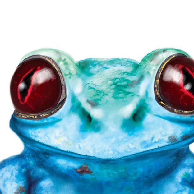 Baby Uluguru Tree Frog Art Print - Pencildust Studio